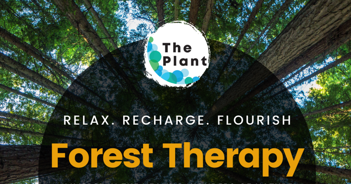 Forest Therapy Walk in Chicago at The Plant