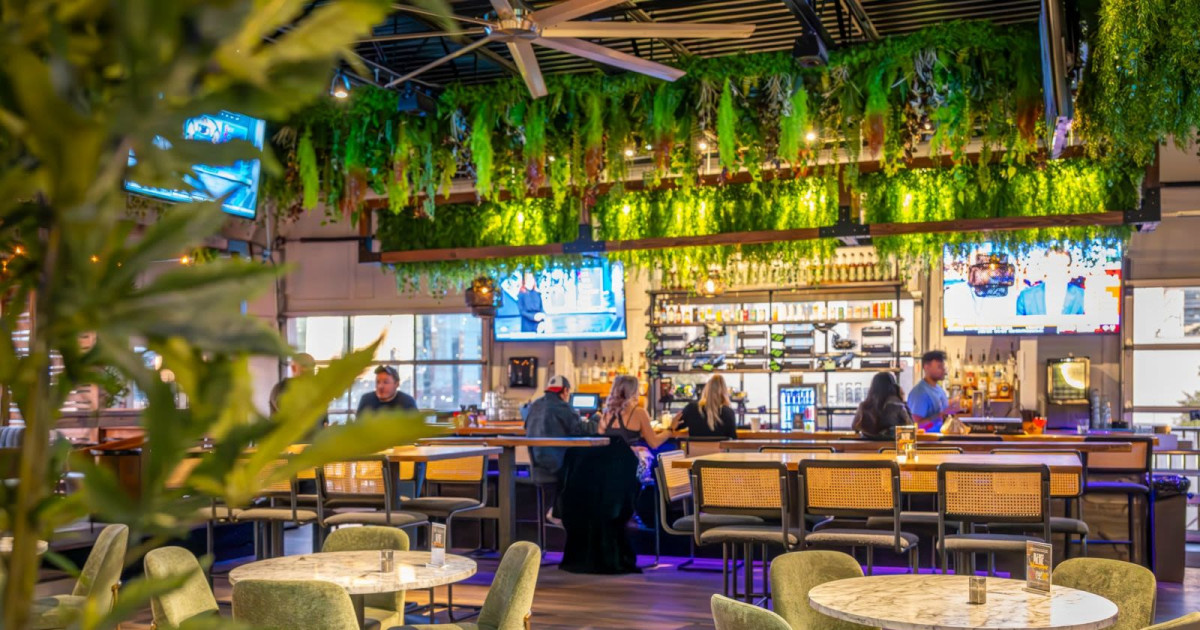 Cosmic Bliss - The 420 Experience in Nashville at High Notes