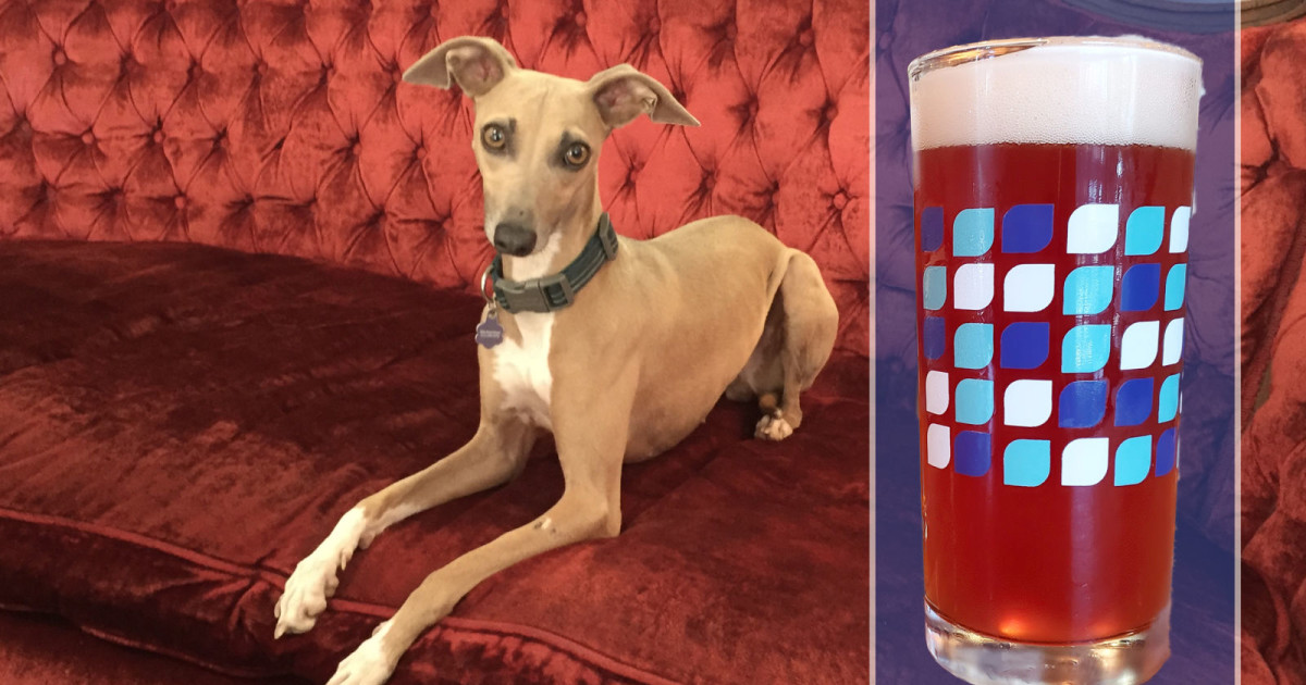 Special Tapping: Dapper Devil in Austin at Blue Owl Brewing