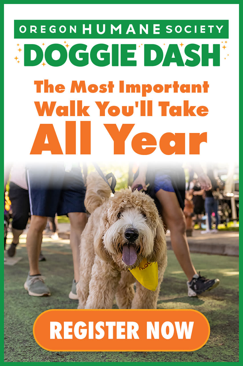 Doggie Dash 2024 in Portland at Tom McCall Waterfront Park