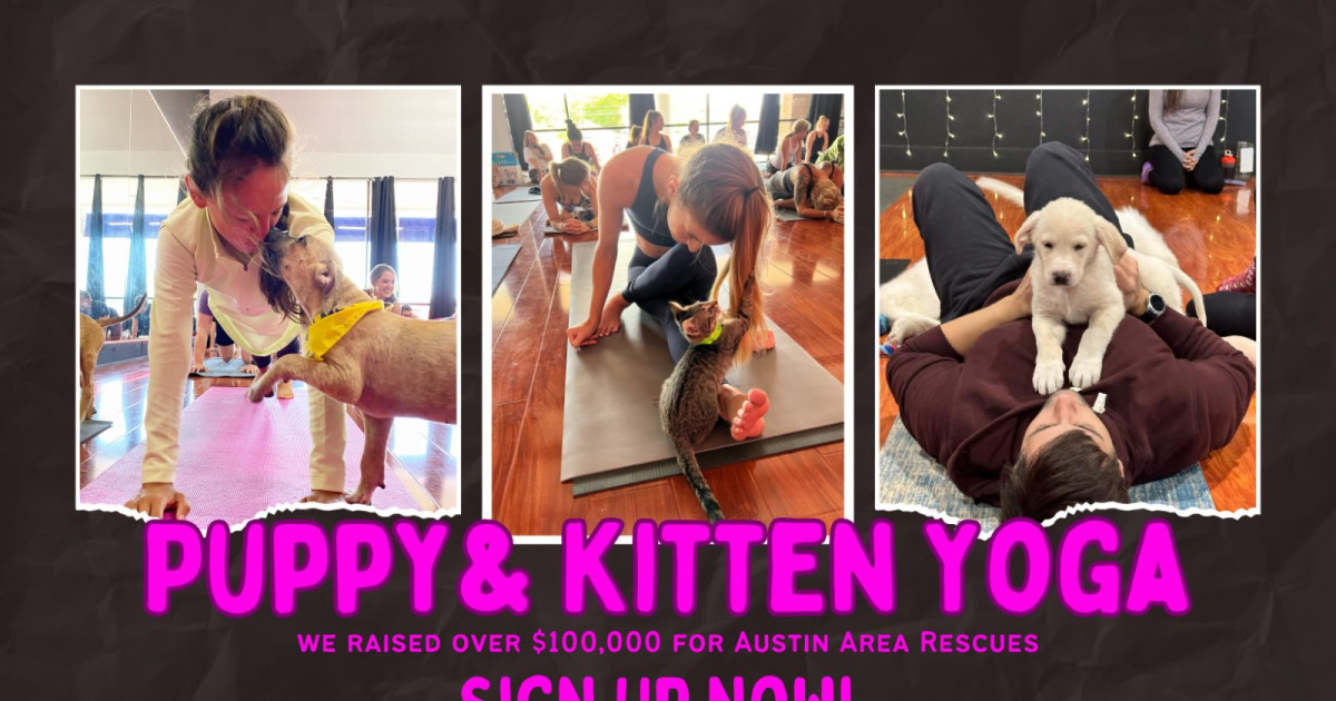 Pug Yoga Benefitting Pug Rescue of Austin in Austin at Inner Diva