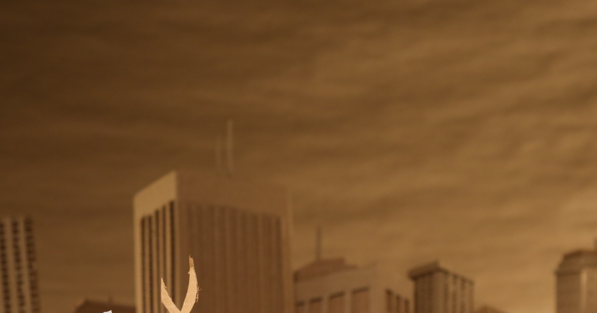 Cardboard Cinema: Robin Frohardt’s Handmade Worlds in North