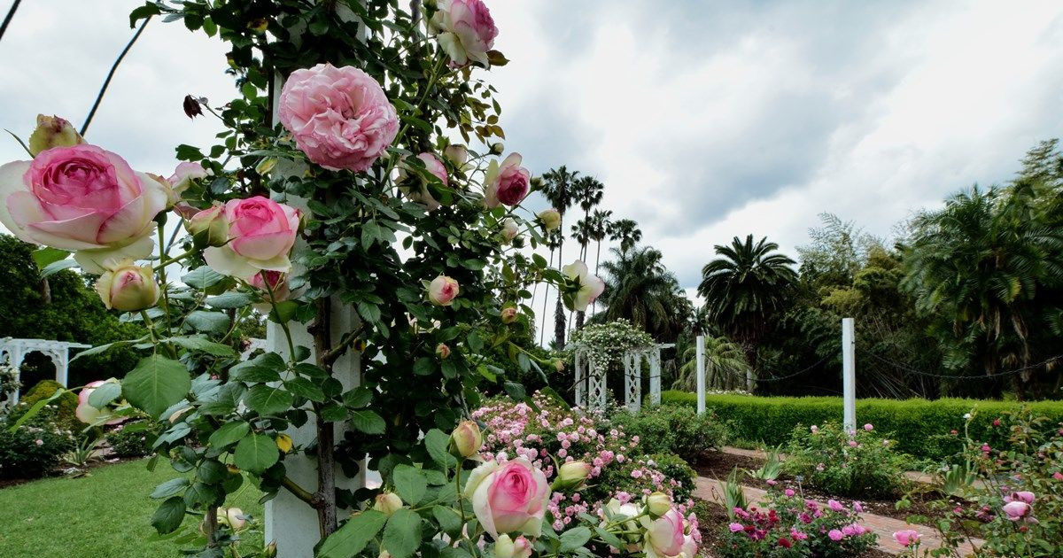 LA Arboretum Free Day September 2019 in Arcadia at LA County