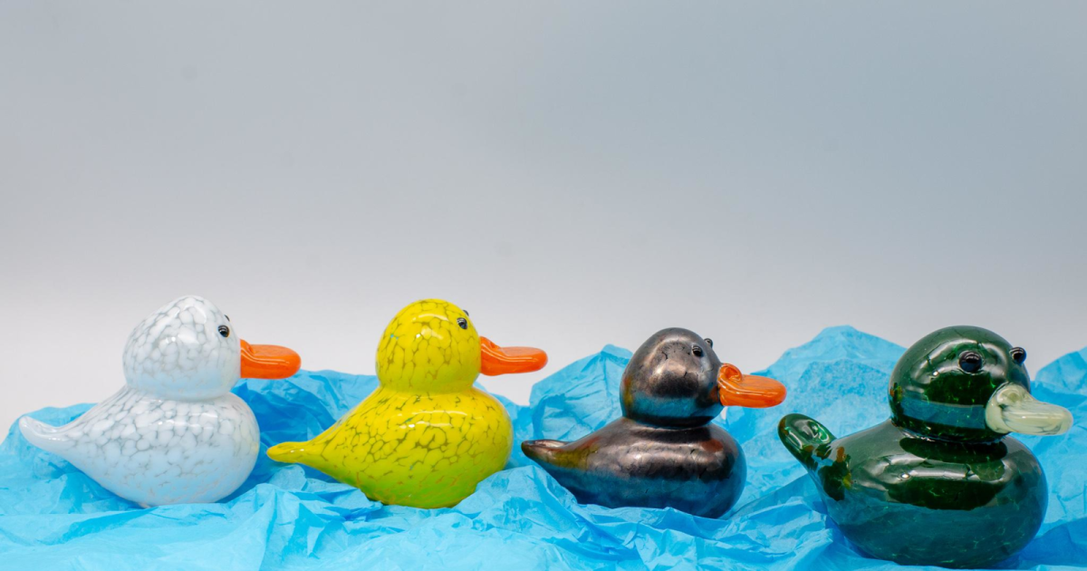 What's it going to take to get ALL Your Ducks in a row! A Duck