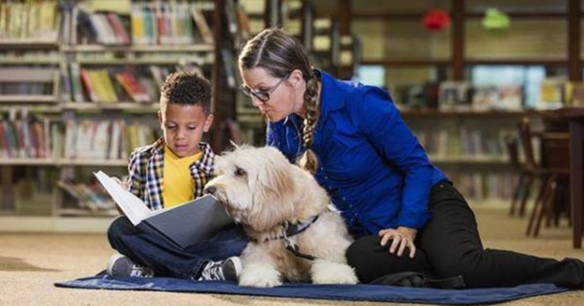 Paws to Read at Spades Park, Fearless Asking: How to Build an