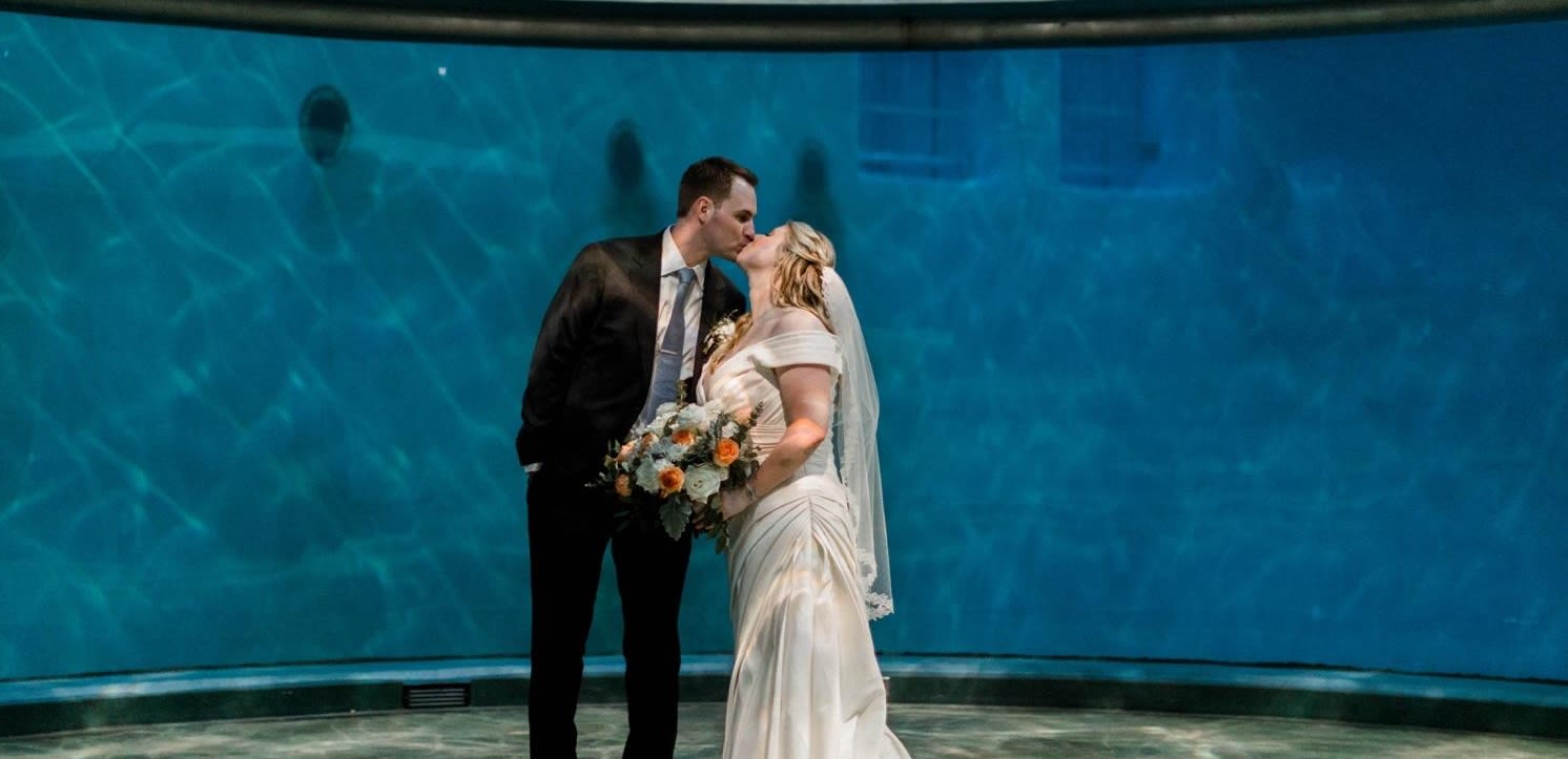 Indy blue wedding 60 photos - Astyledwedding.com