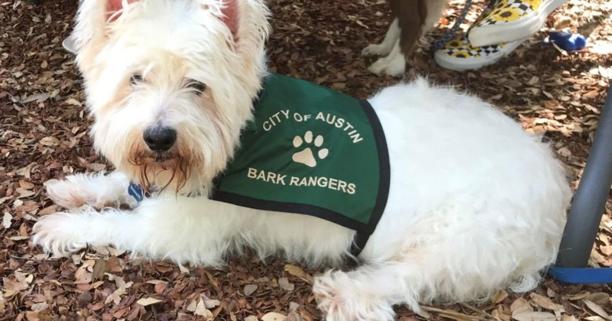 Bark Rangers Workshop in Austin at City of Austin Park Ranger