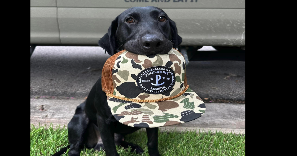 Dog-Friendly Patio Guide to San Antonio