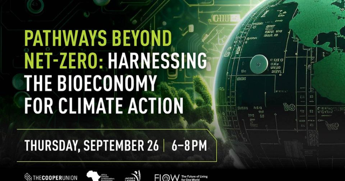 Pathways Beyond Net-Zero: Harnessing Partnerships in the