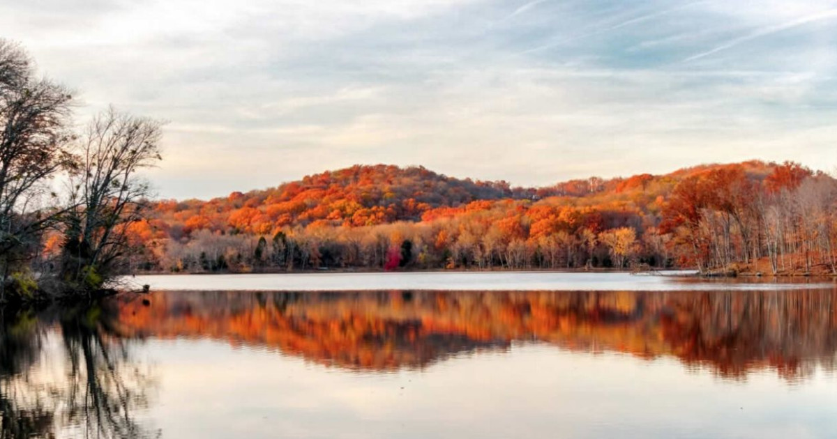 Barbara J. Mapp Aviary Education Center Open House in Nashville