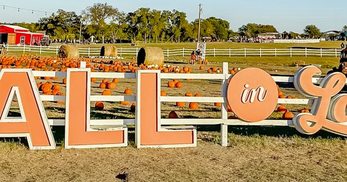 Robinson Family Farm Fall Festival in Temple at The Robinson