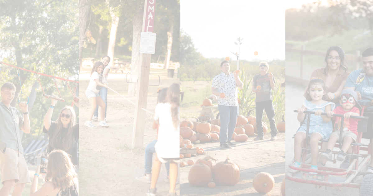 2024 Georgetown Fall Festival in Georgetown at Sweet Eats Fruit