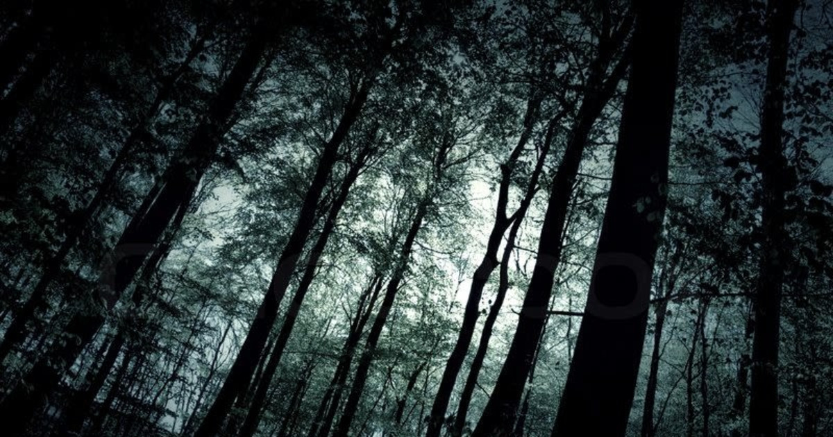 Nightmare Forest in Louisville at Nightmare Forest