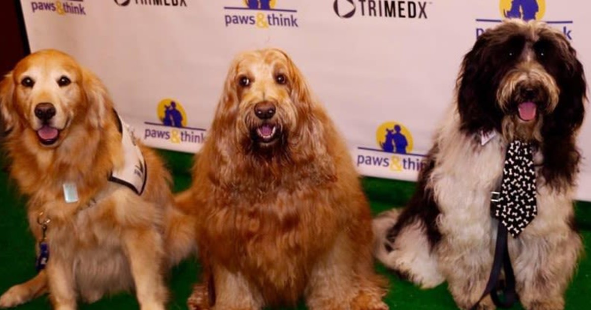 Dogs Are Magic: Wags & Wizards (A Harry Pawter Evening) in