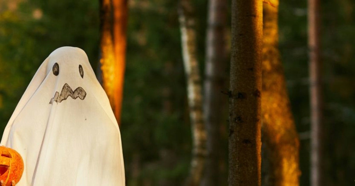 Portland Ghosts Tour in Portland at Harlow Hotel