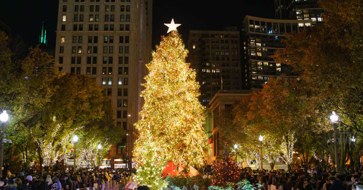 City of Chicago Christmas Tree Lighting Ceremony in Chicago at
