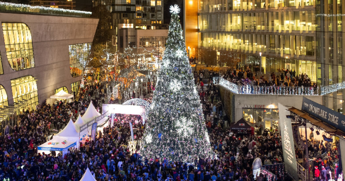 Surrey Tree Lighting Festival & Holiday Market in Vancouver at