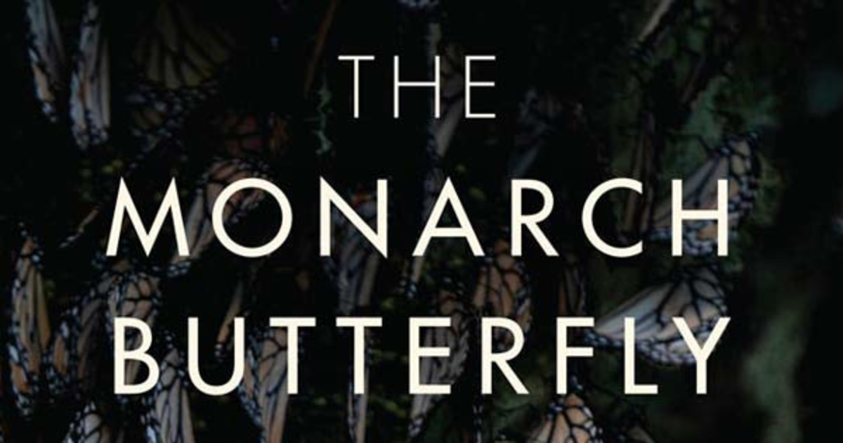 High Noon Talk: The Monarch Butterfly Migration in Austin at