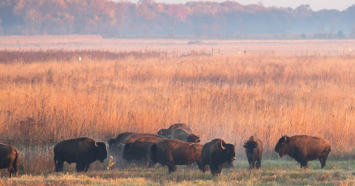 The 20 Best Spots To See Indiana Fall Colors