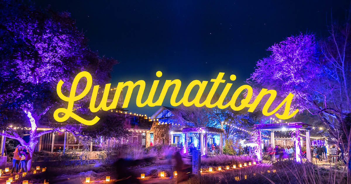 Luminations in Austin at Lady Bird Johnson Wildflower Center