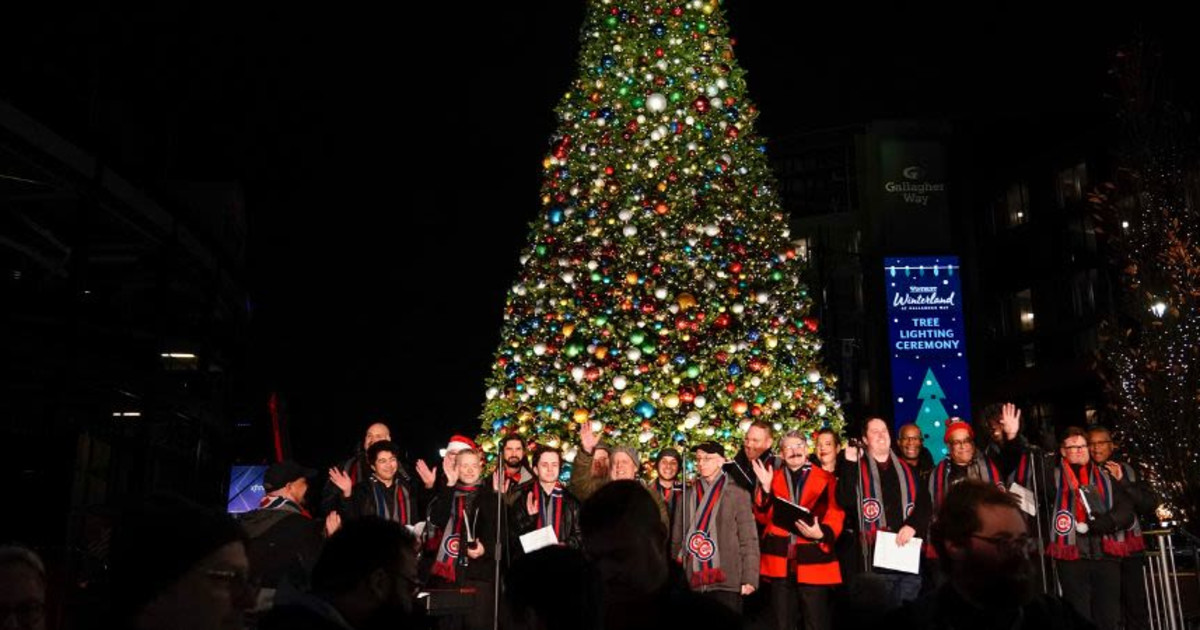 Annual Tree Lighting Ceremony at Winterland! in Chicago at