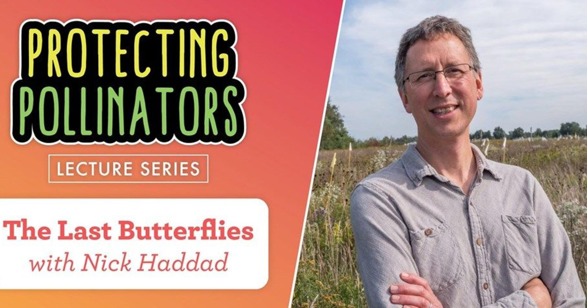 Protecting Pollinators: The Last Butterflies with Nick Haddad