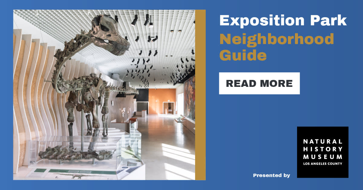 Exposition Park Neighborhood Guide