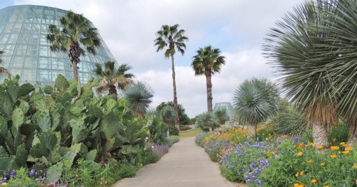 Illuminate at the San Antonio Botanical Garden - Join us for this