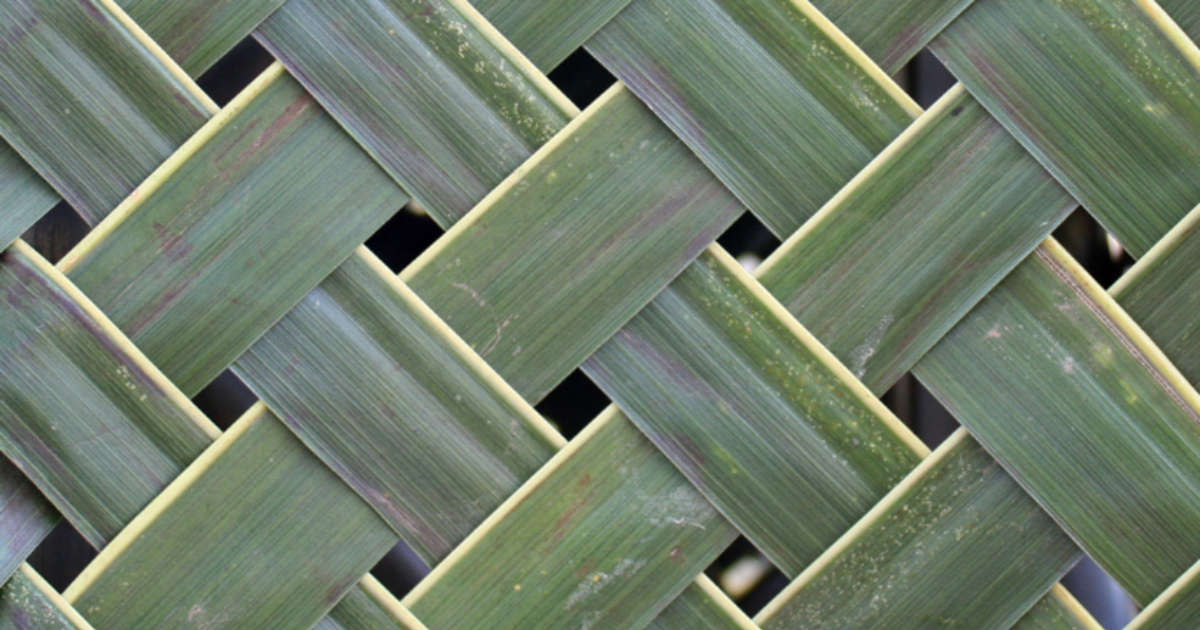 Natural Weaving Workshop in San Antonio at San Antonio Botanical