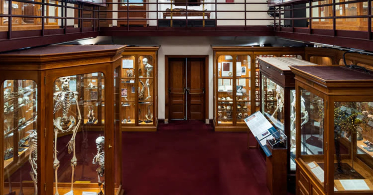 Mütter Museum 215 Day Giveaway in Philadelphia at Mütter Museum