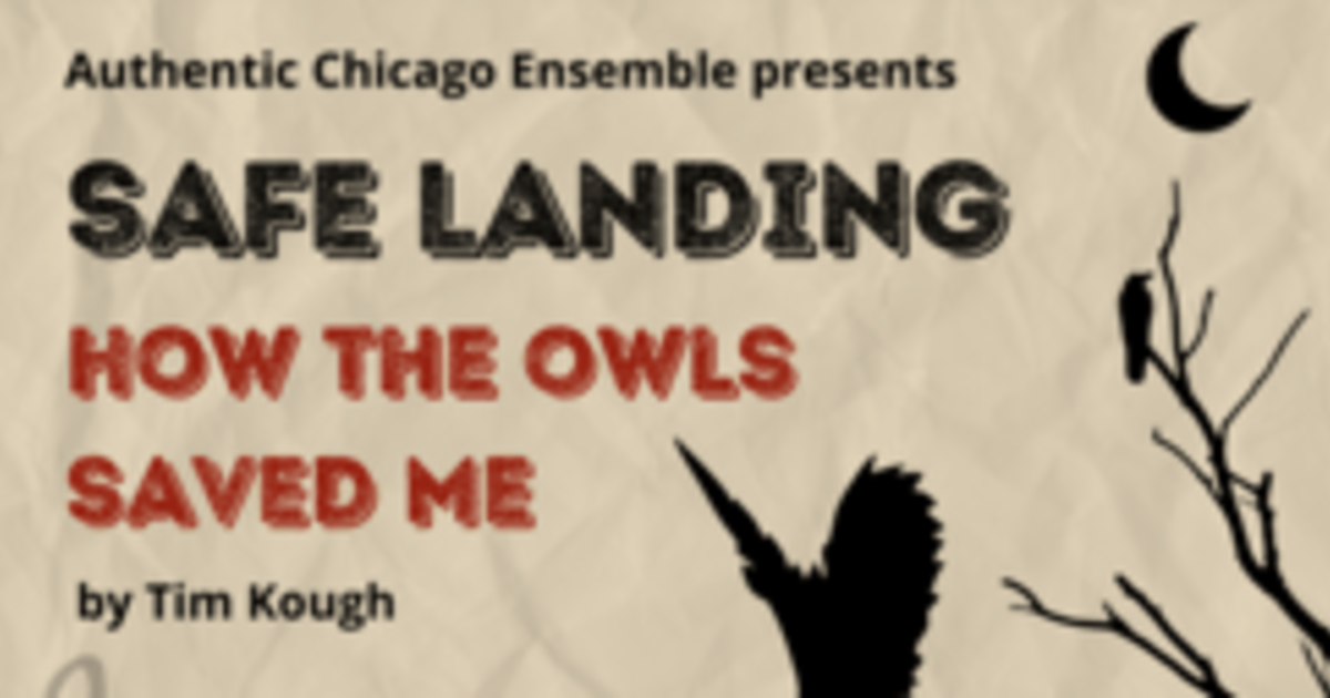 Safe Landing: How the Owls Saved Me in Chicago at Greenhouse