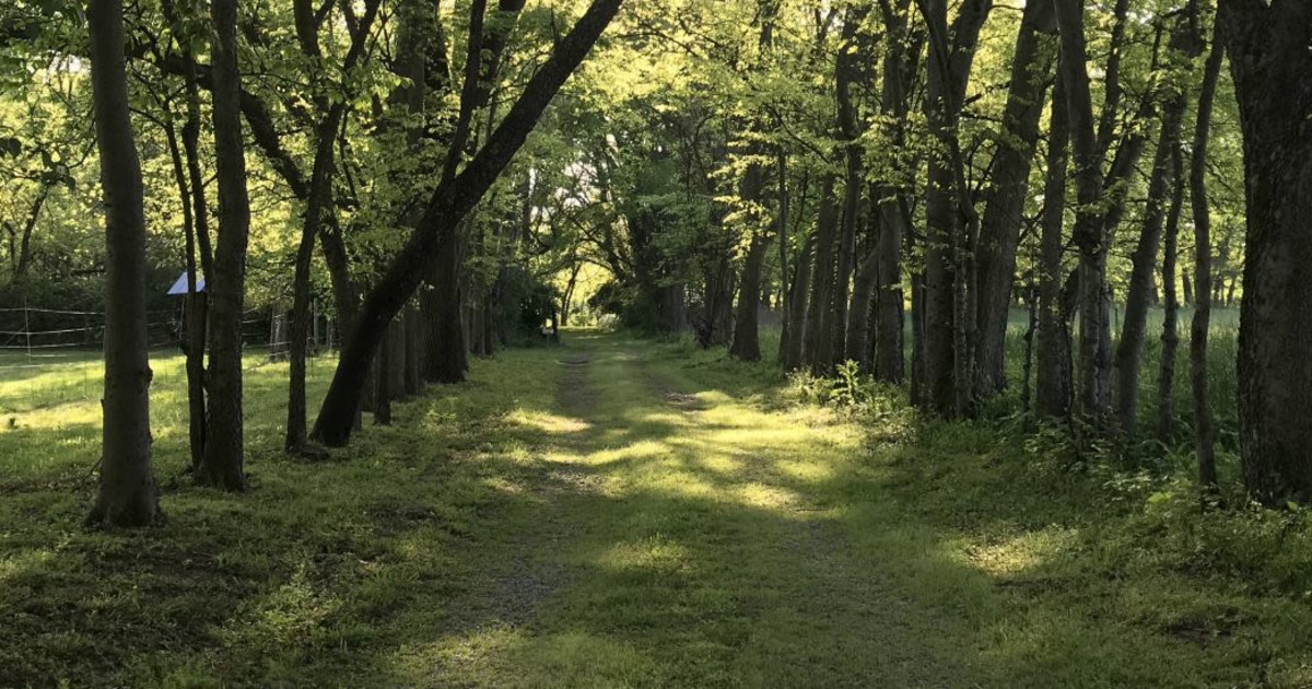 March Community Day in Nashville at The Land Trust for