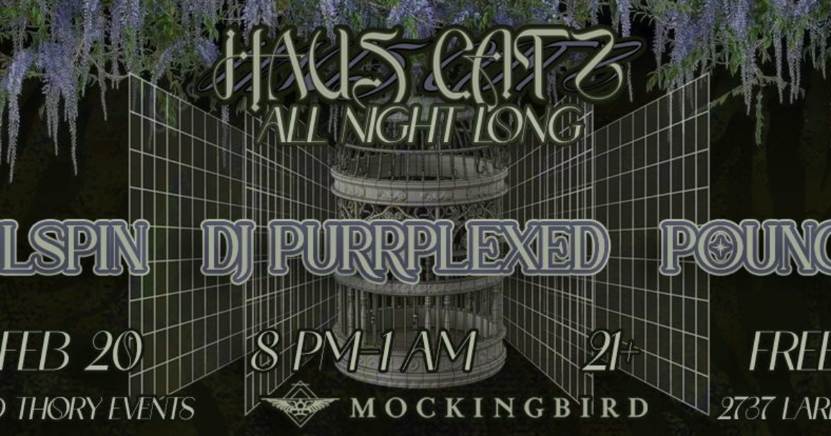 Haus Catz ALL NIGHT LONG in Denver at Mockingbird
