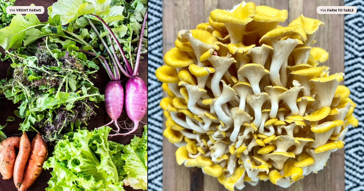 Farm Fresh Options in Austin