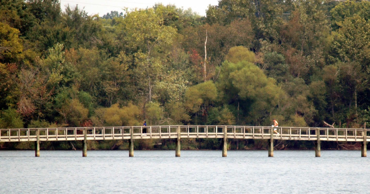 Winter Botany 2025 in Hermitage at Long Hunter State Park