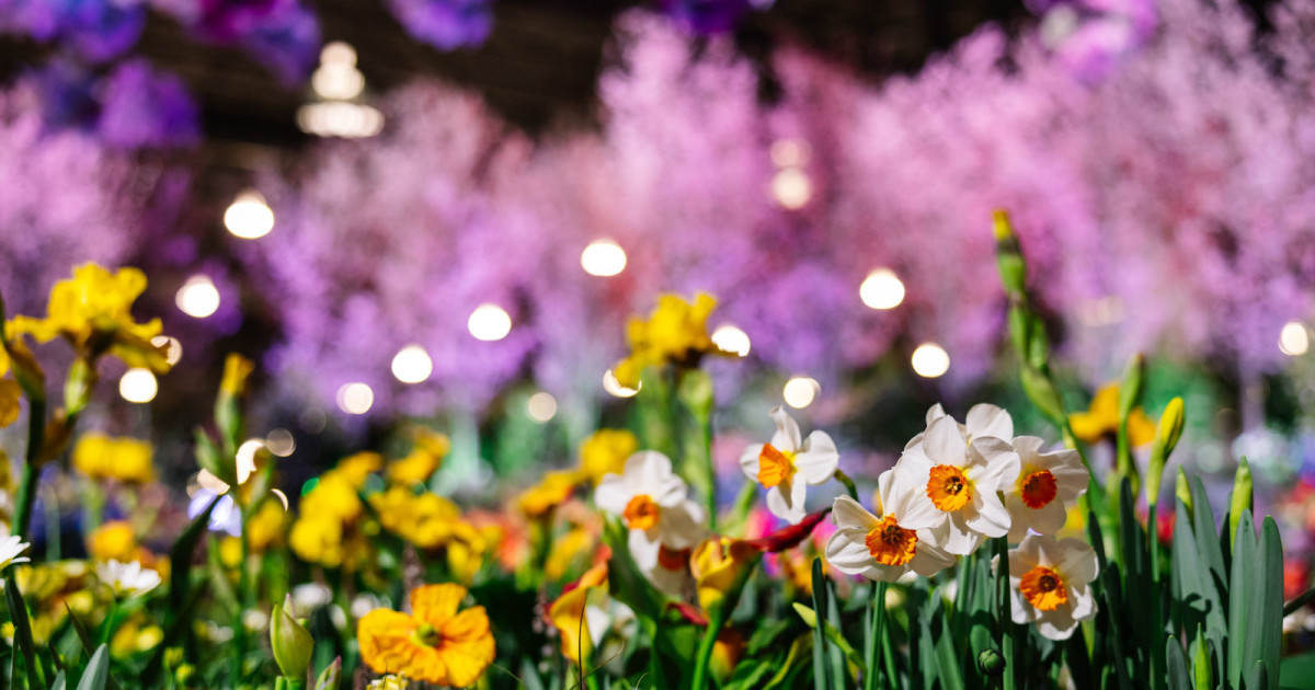 Flowers After Hours in Philadelphia at Pennsylvania Convention