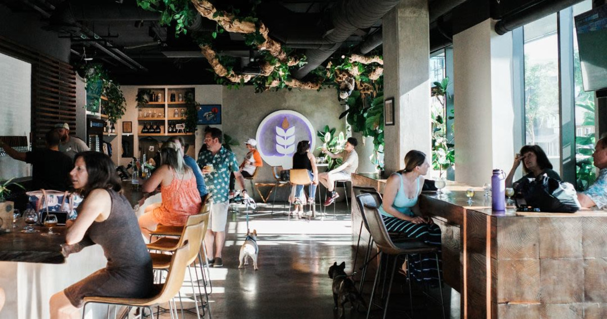 Int’l Cafe at Pure Balboa Park in San Diego at Pure Project - Balboa