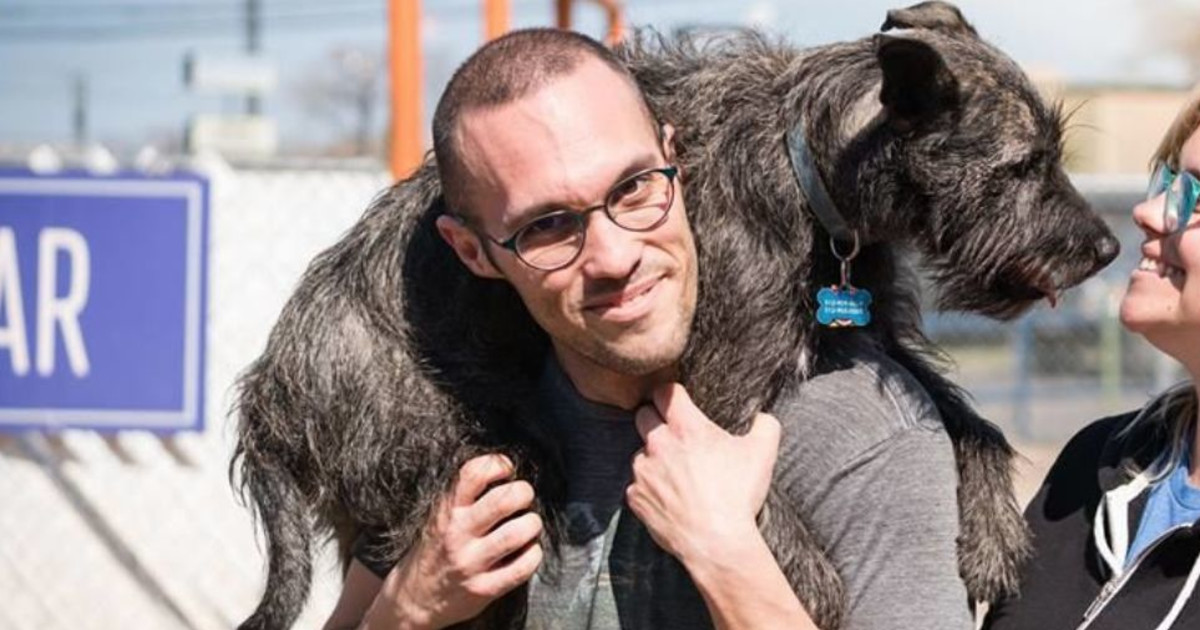 Pull for Paws to benefit Austin Pets Alive! in Austin at Yard Bar