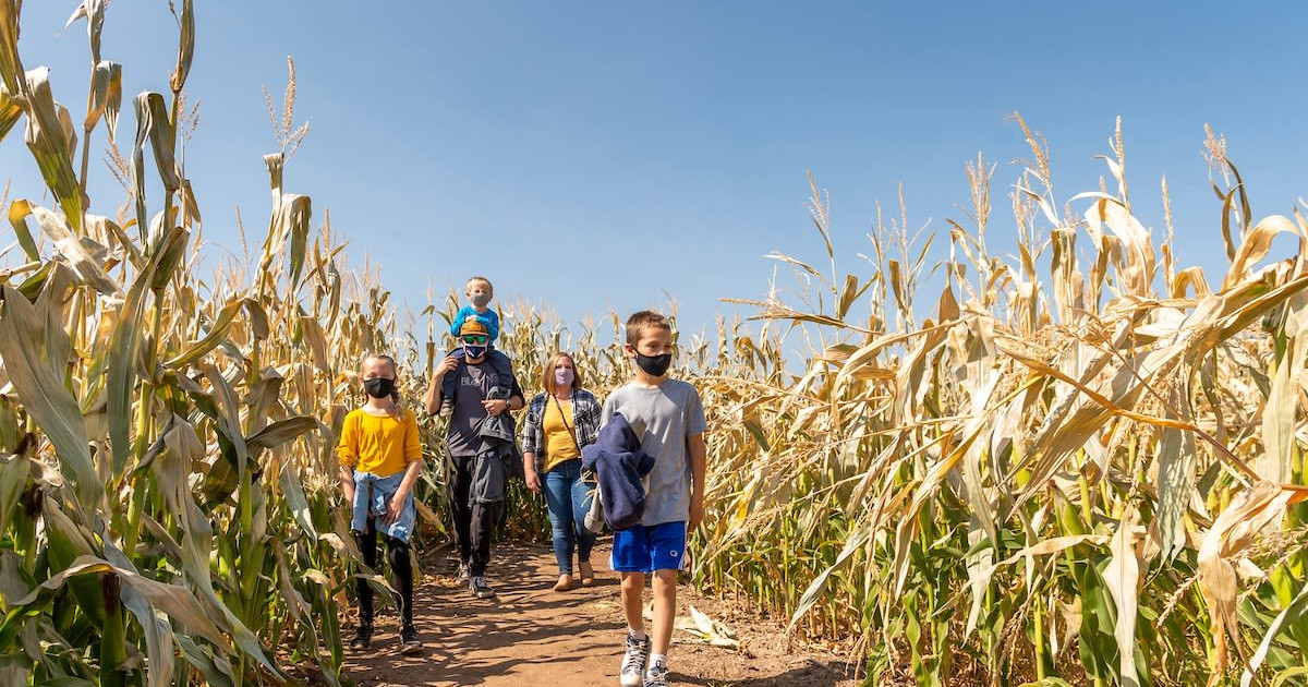 Girl Scouts Art in Nature for Juniors and Cadettes in Littleton at