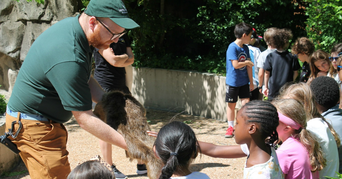 Zoo Explorers in Chicago at Lincoln Park Zoo