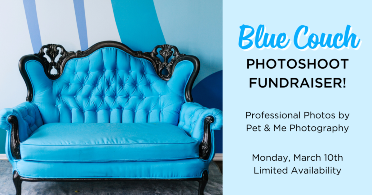 Blue Couch Photoshoot Fundraiser in Chicago at Adoption Center