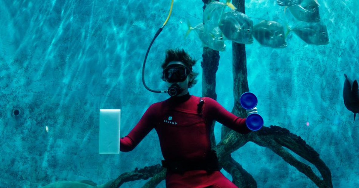 Mermaid (OFFICIAL) in Austin at Zach Theater