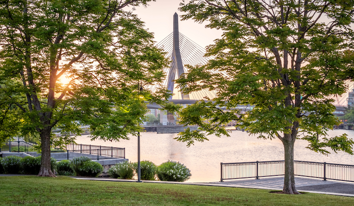 How To Do Spring In Boston