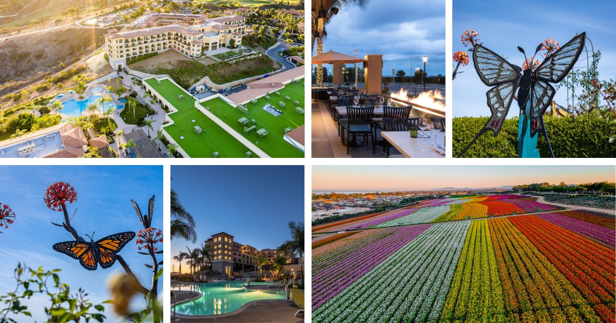 Spring Escape: The Westin Carlsbad & Flower Fields Staycation in