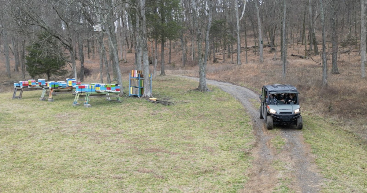 Bee Cruise in Franklin at Southall Farm & Inn