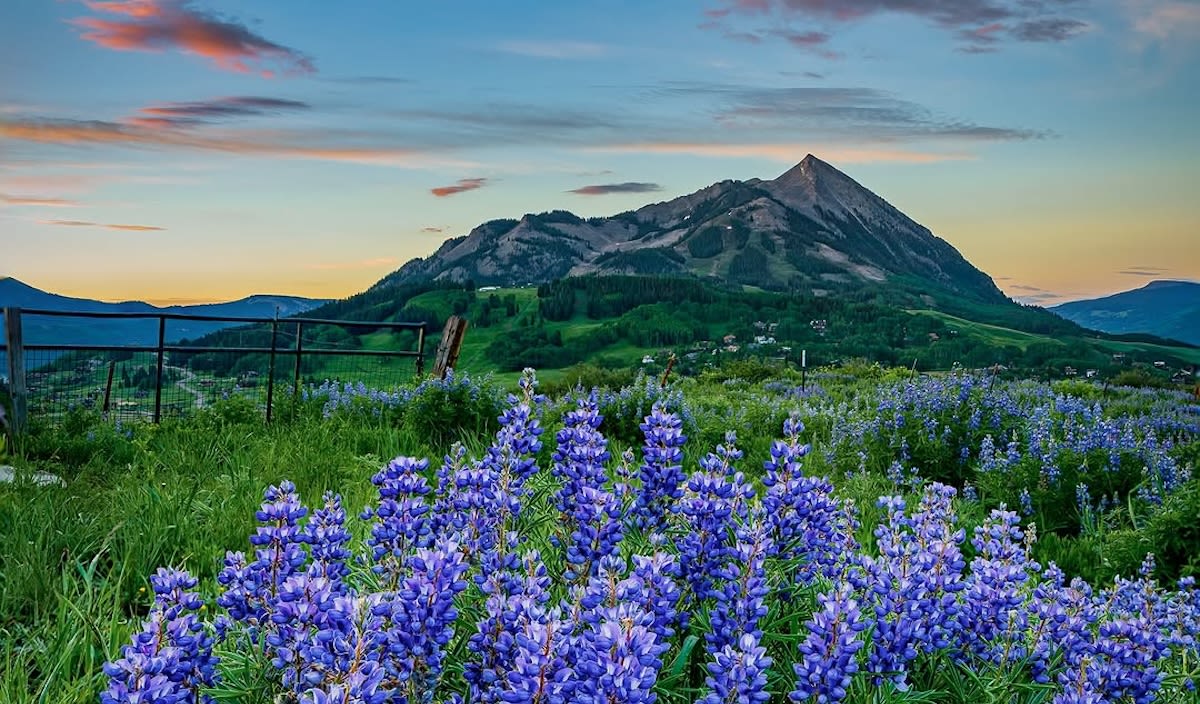 The Ultimate Guide To Spring In Denver