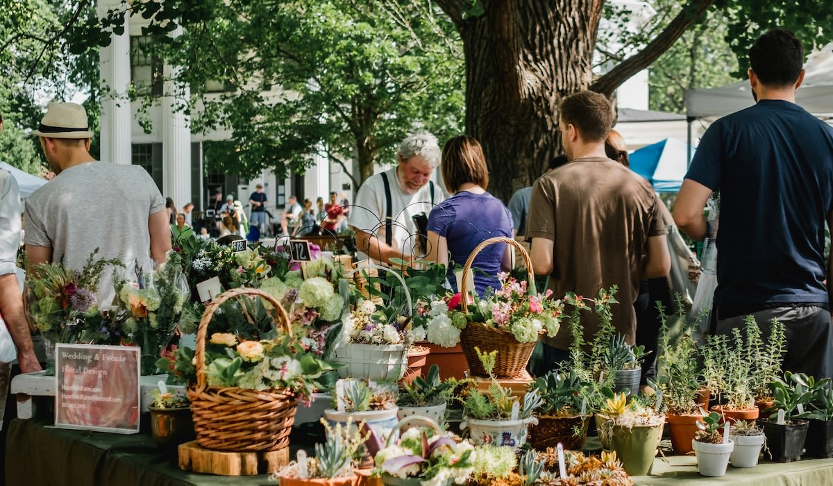 The Ultimate Guide To Spring In Denver