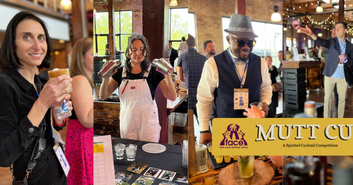 Mutt Cup 2025 in Indianapolis at Biltwell Event Center