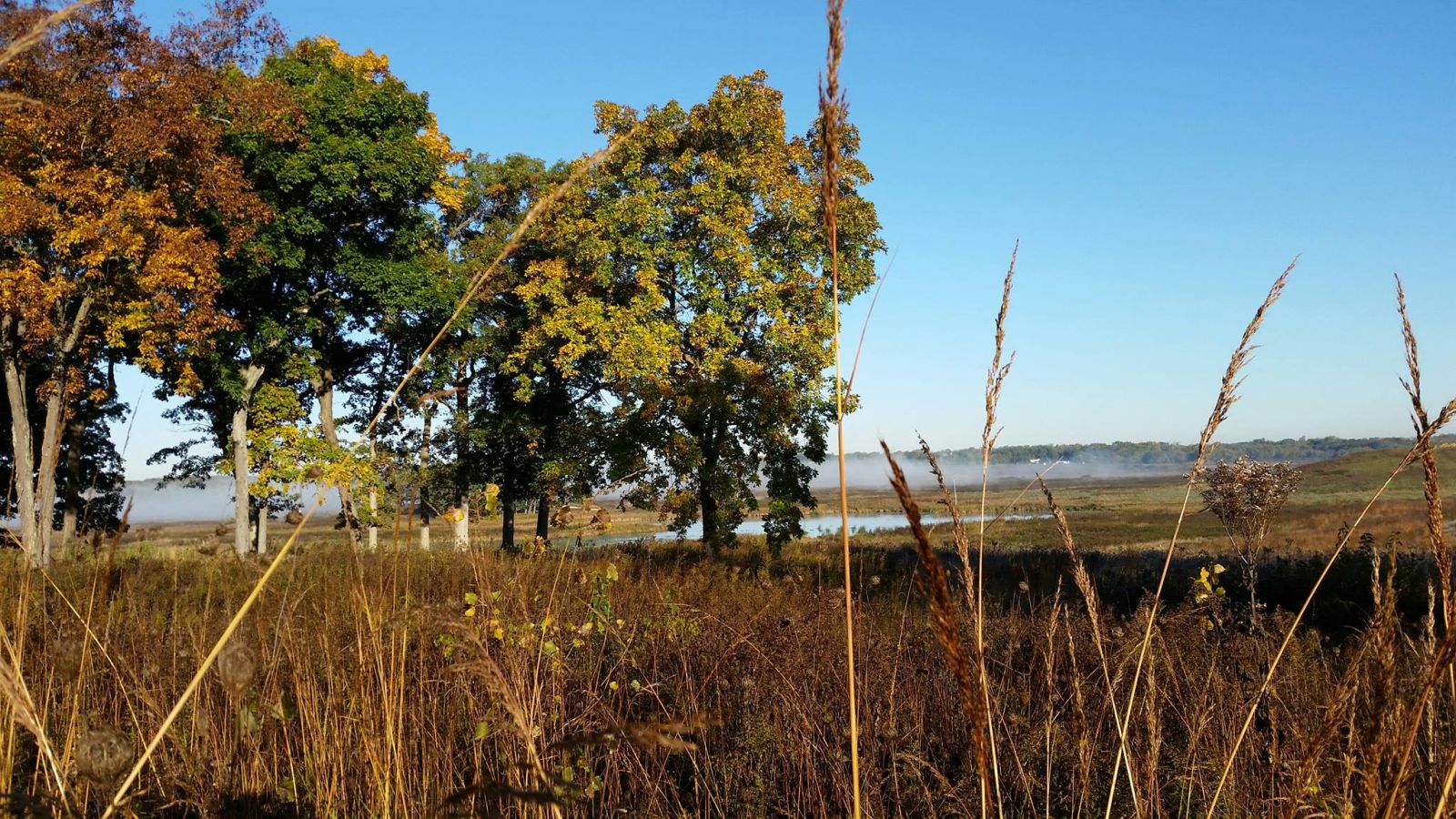 Where To Go Hiking Near Chicago