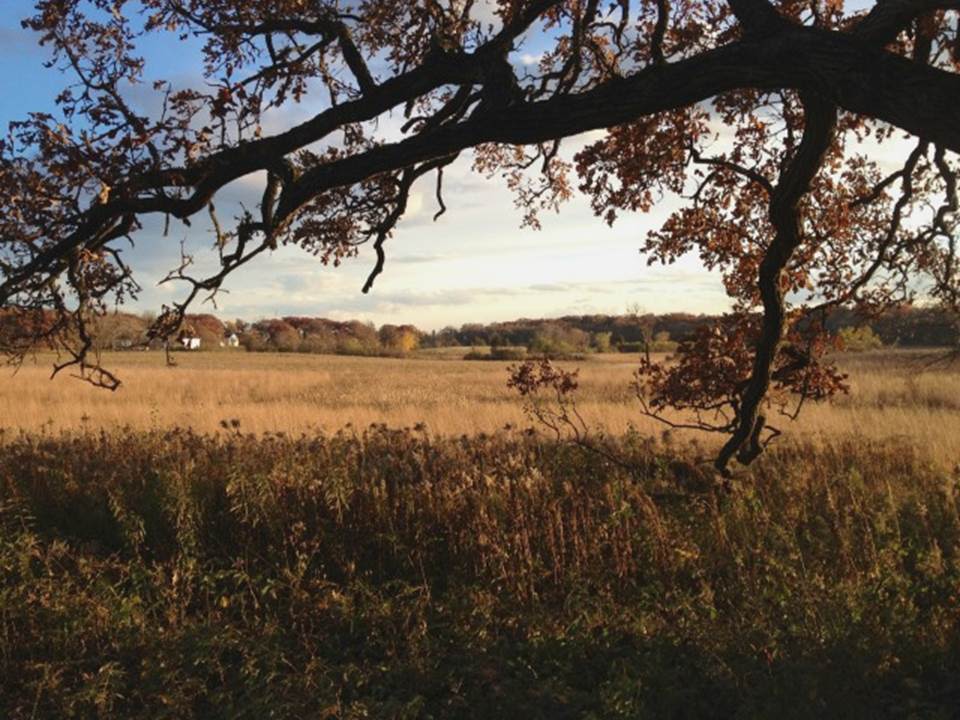Where To Go Hiking Near Chicago